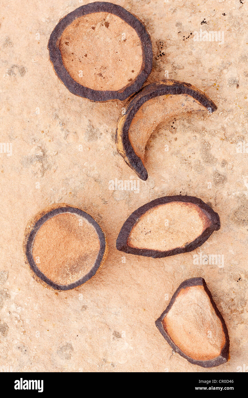 Moqui hi-res stock photography and images - Alamy