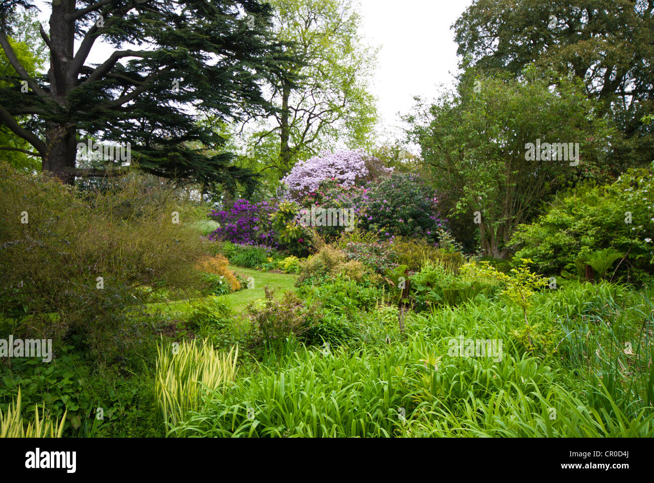 Cottage and informal garden hi-res stock photography and images - Alamy