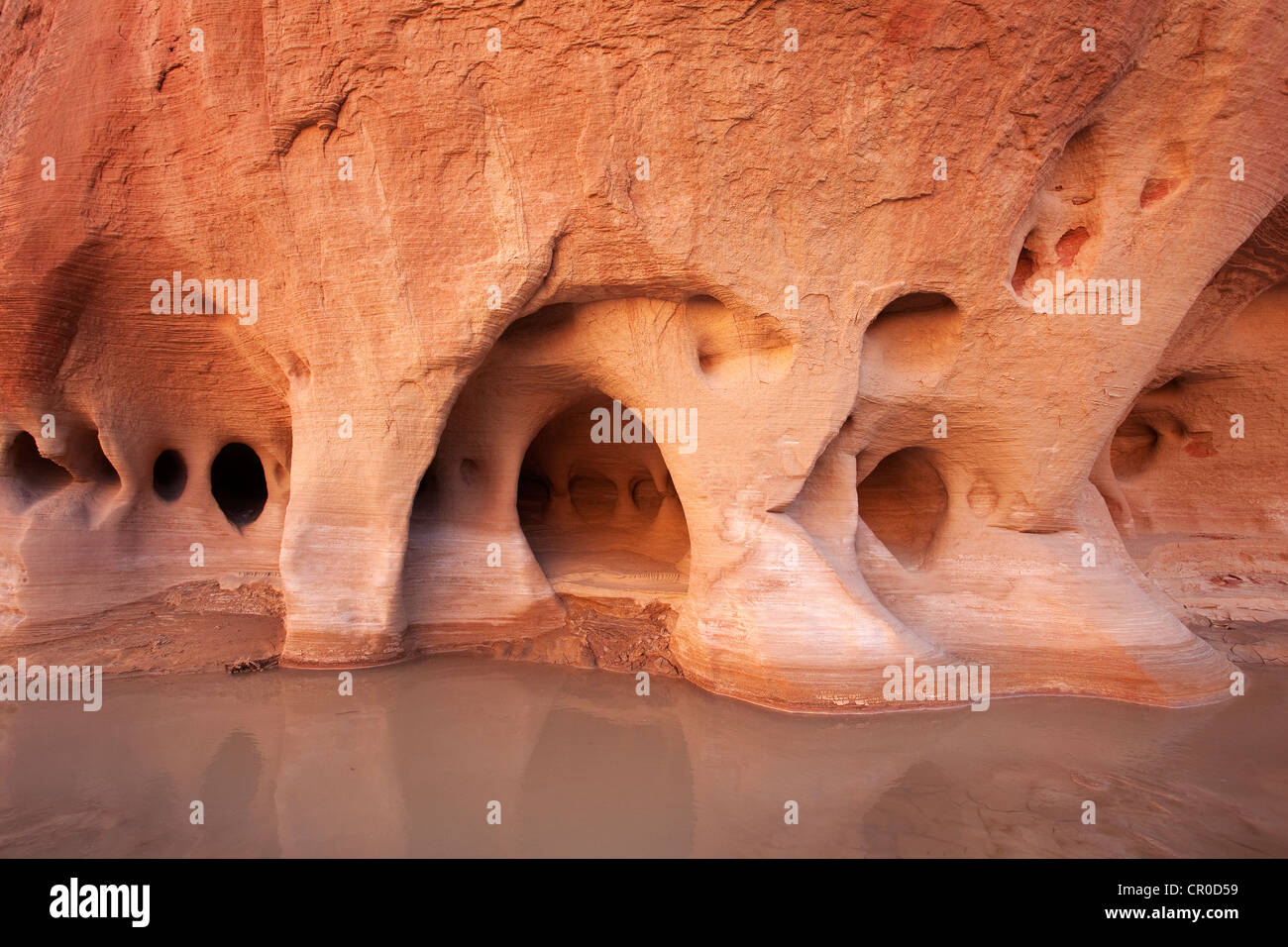 Paria canyon hi-res stock photography and images - Alamy