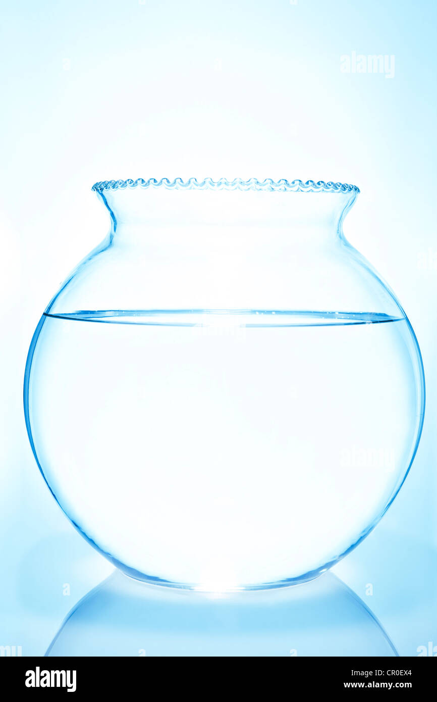 Round glass bowl filled with water Stock Photo - Alamy