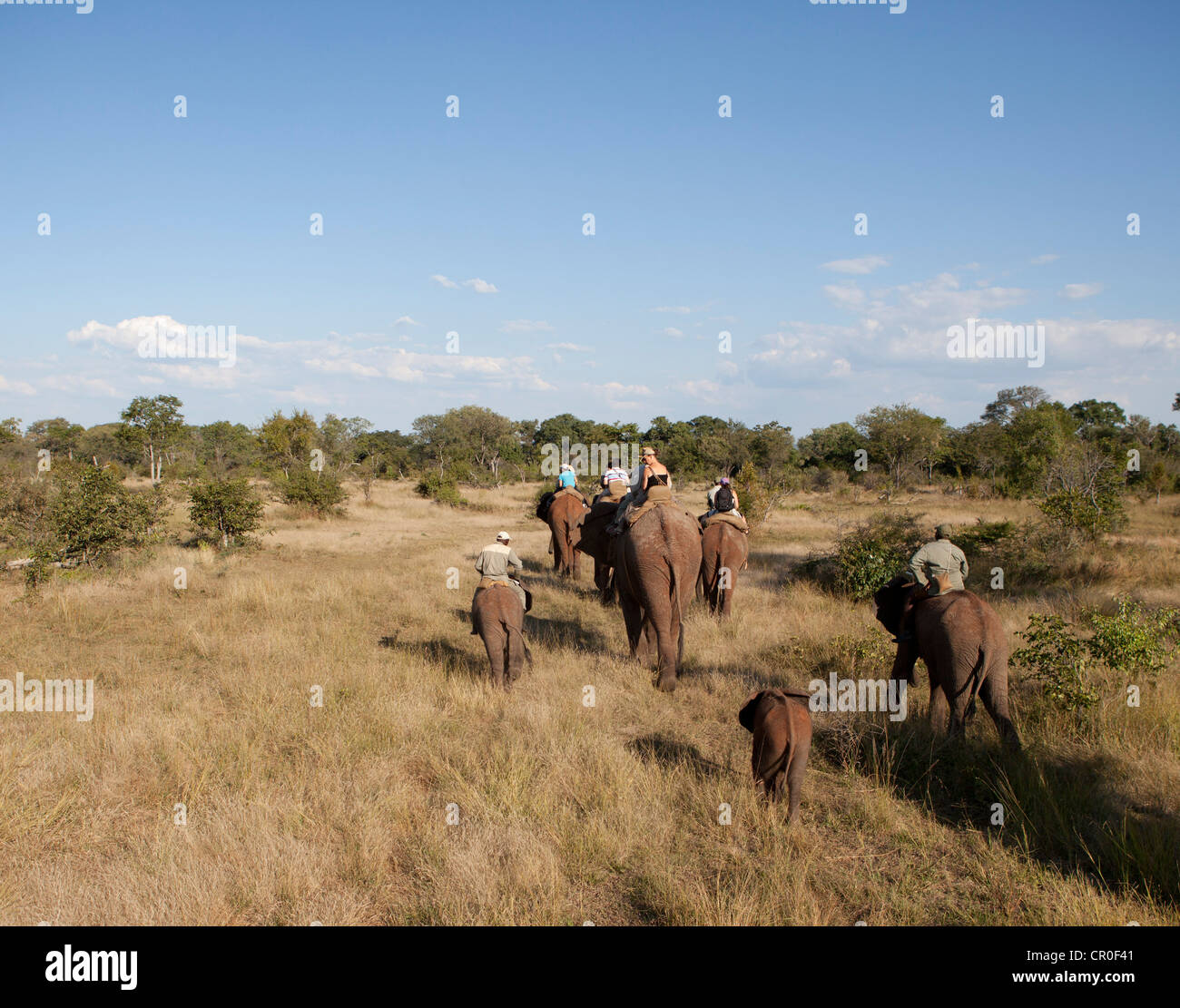 Safari people walking hi-res stock photography and images - Alamy