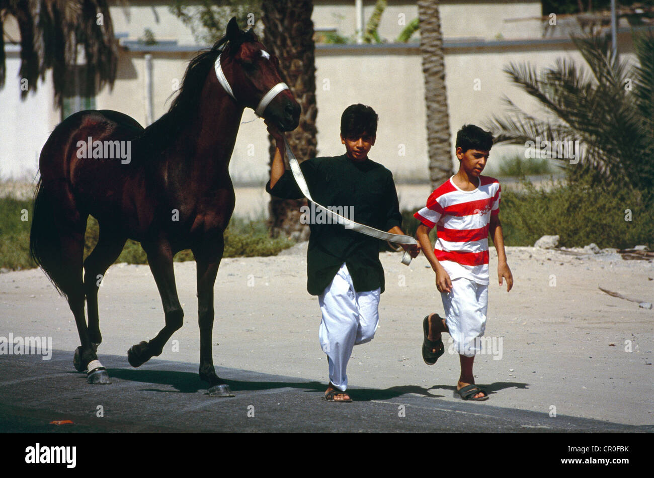 Scenes in the market in the Eastern oil rich Province shiite town of ...