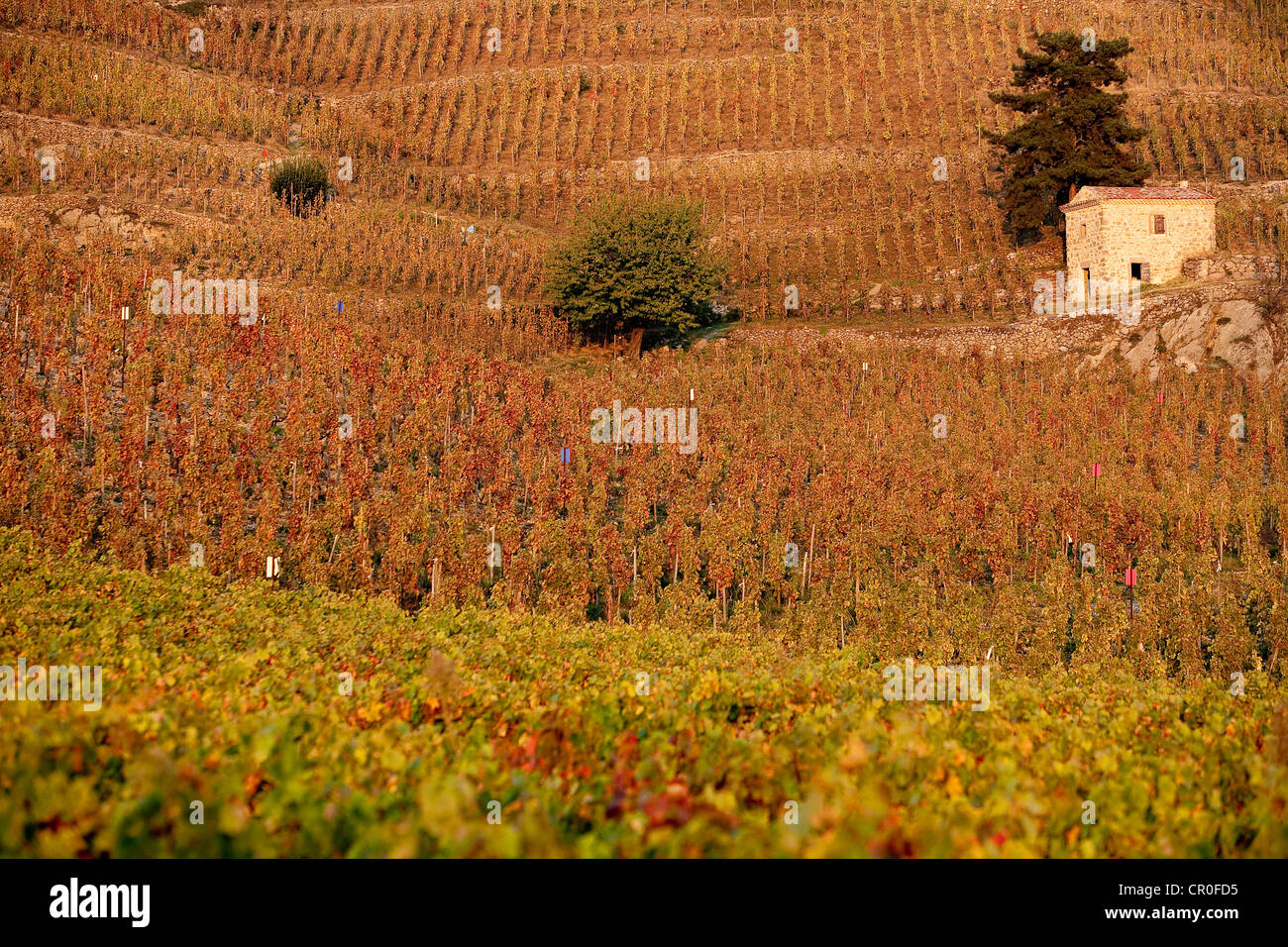 Amenee canal hi-res stock photography and images - Alamy