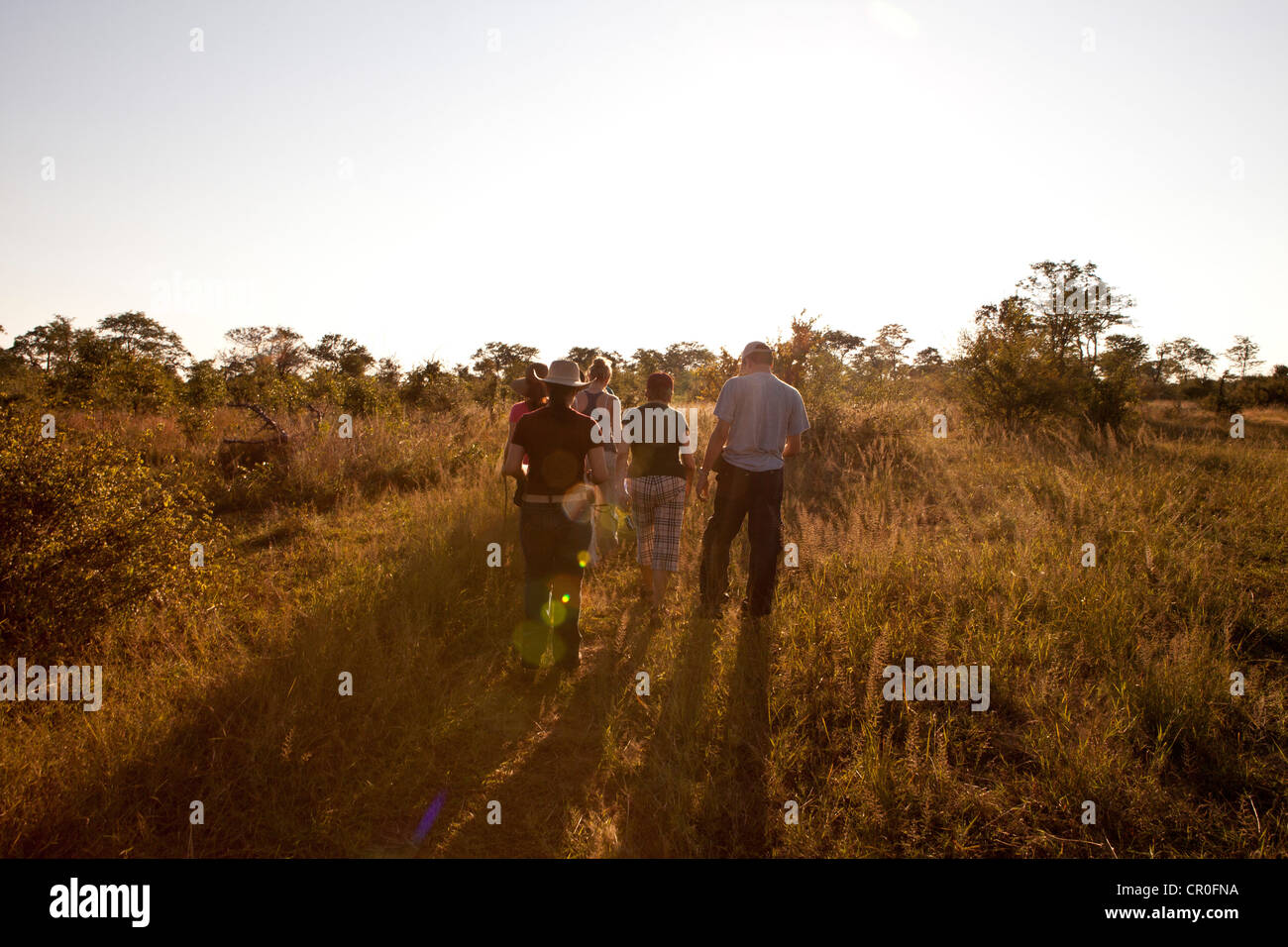 Safari people walking hi-res stock photography and images - Alamy
