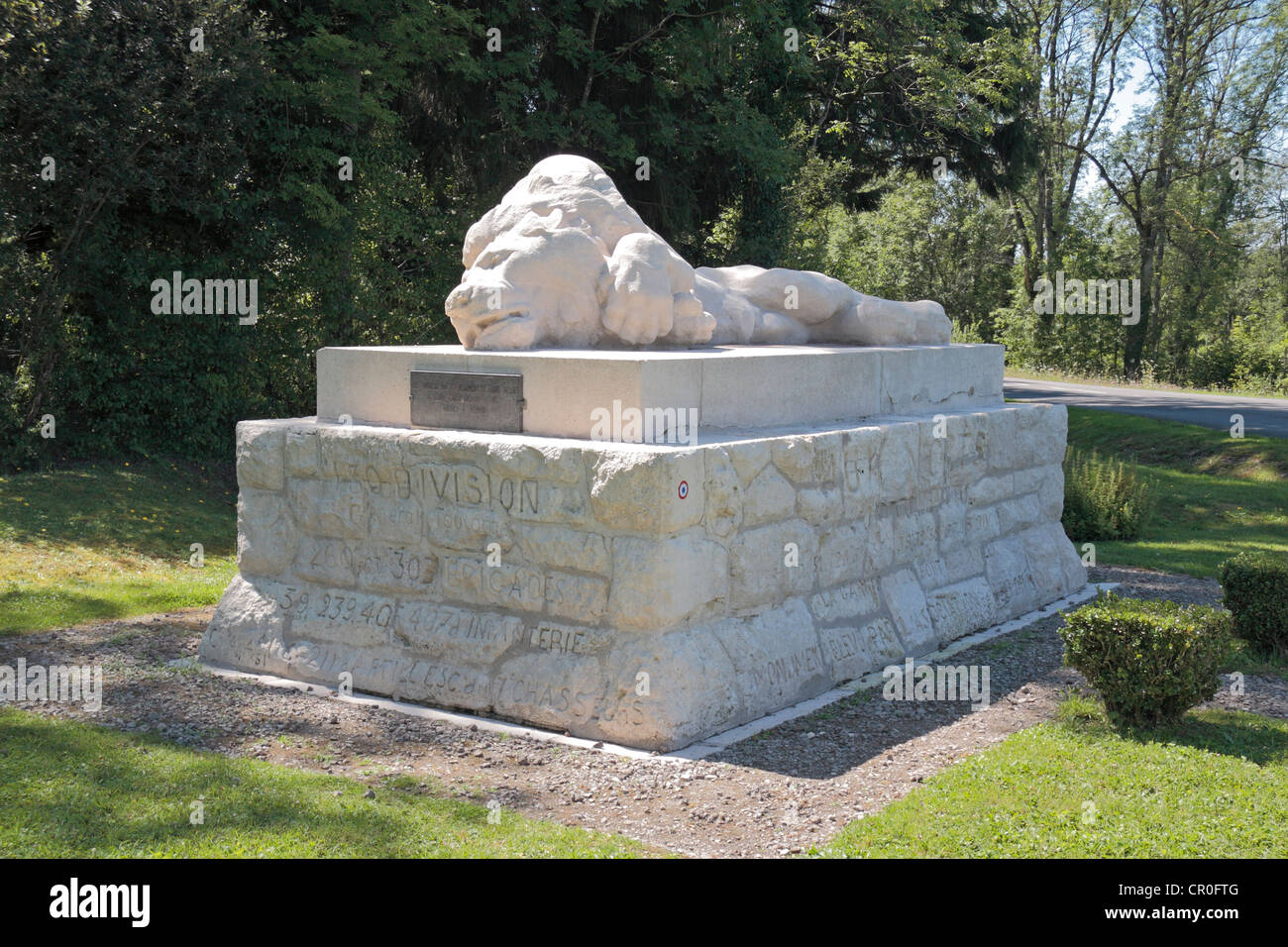 Wounded lion hi-res stock photography and images - Alamy