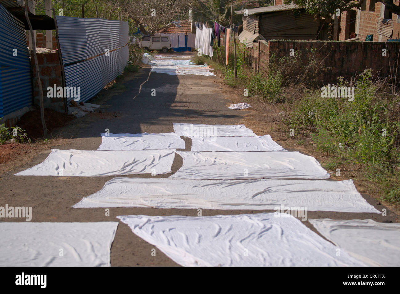 A laundry in Goa drying sheets on trees and on the ground Stock Photo ...