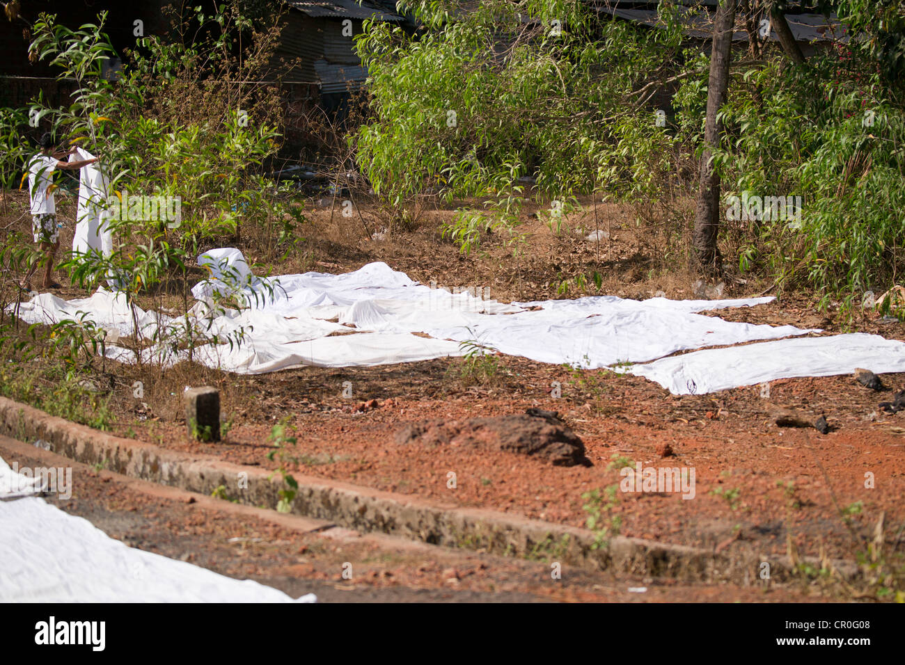 Laundry trees hi-res stock photography and images - Alamy