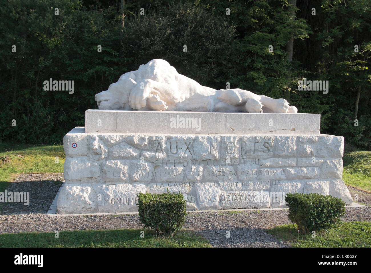 Wounded lion hi-res stock photography and images - Alamy