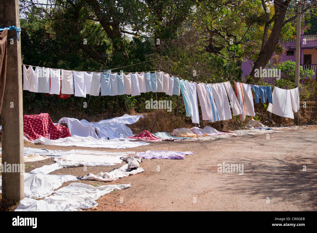 A laundry in Goa drying sheets on trees and on the ground Stock Photo ...