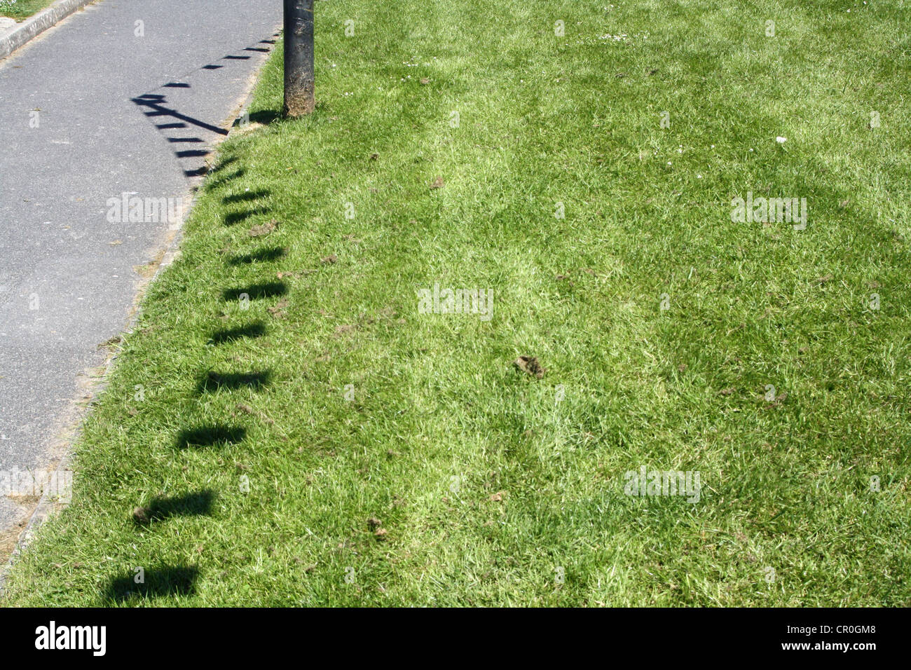 Shadow grass hi-res stock photography and images - Alamy