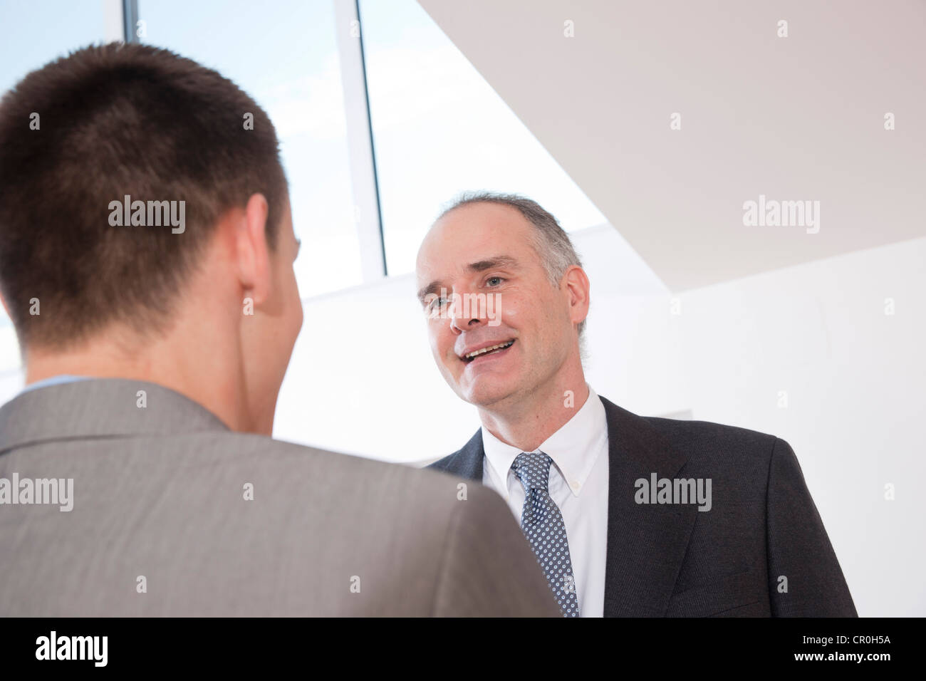 Young and older colleague talking Stock Photo - Alamy