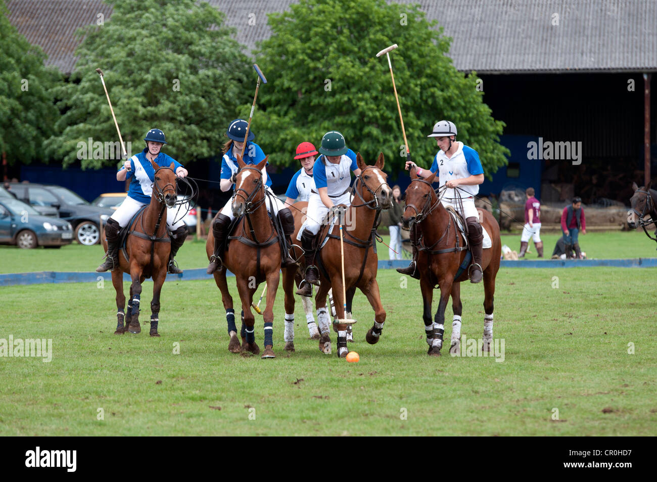 University students polo game Stock Photo - Alamy