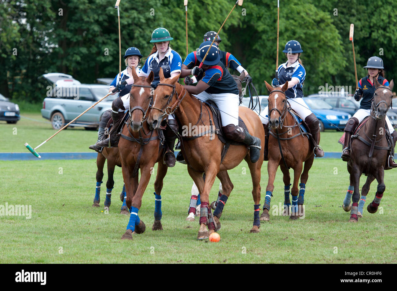 Polo Game High Resolution Stock Photography and Images - Alamy