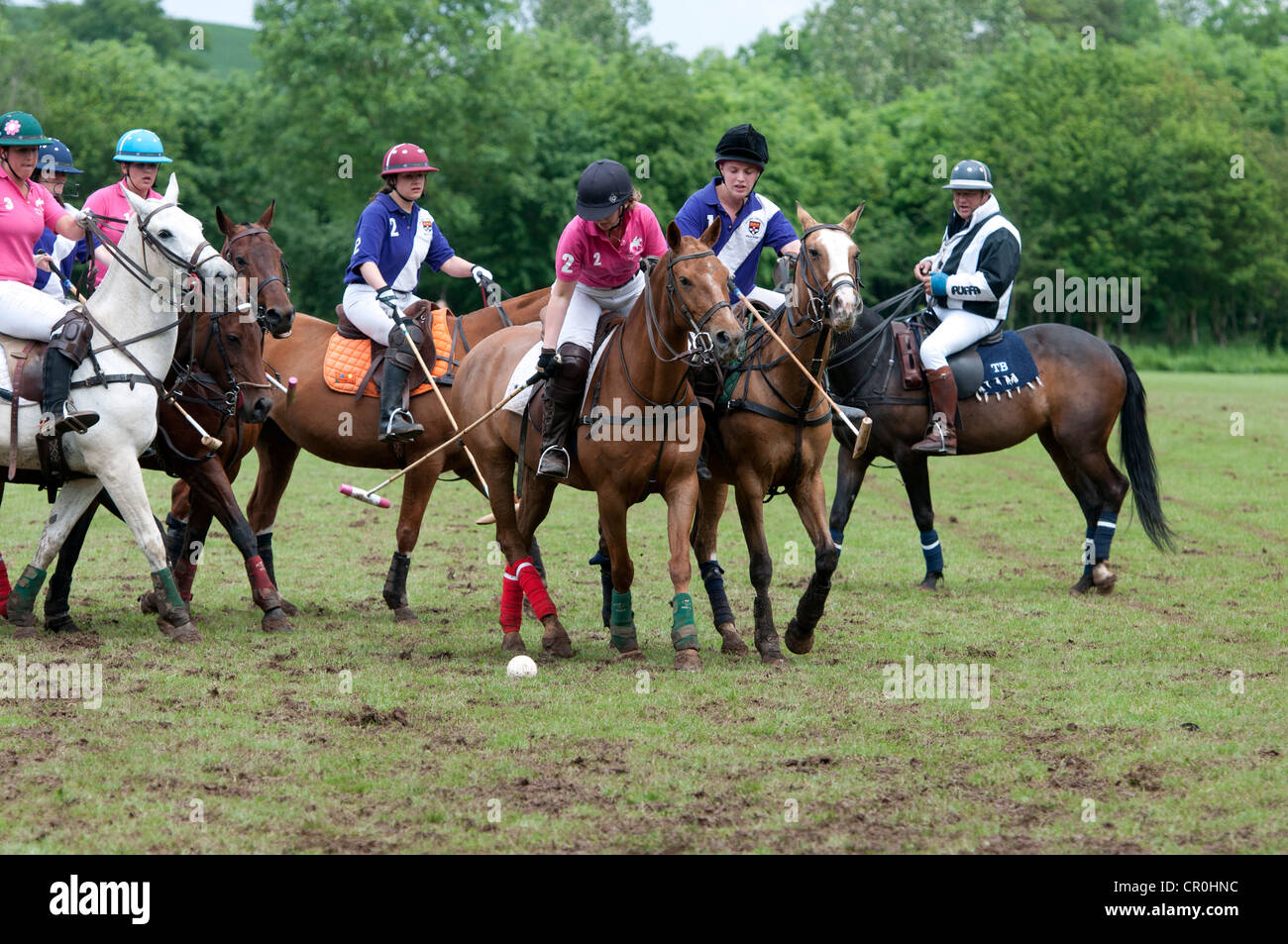 University students polo game Stock Photo - Alamy