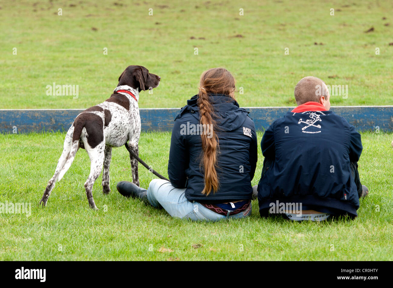 English pointer two hi-res stock photography and images - Alamy