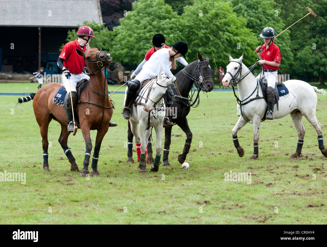 Polo game and horse hi-res stock photography and images - Alamy