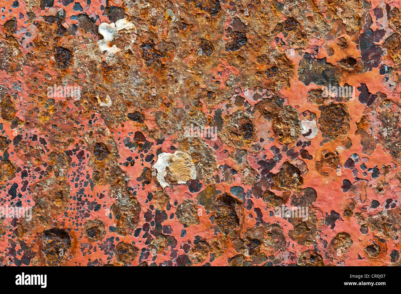 Paint surface texture hi-res stock photography and images - Alamy