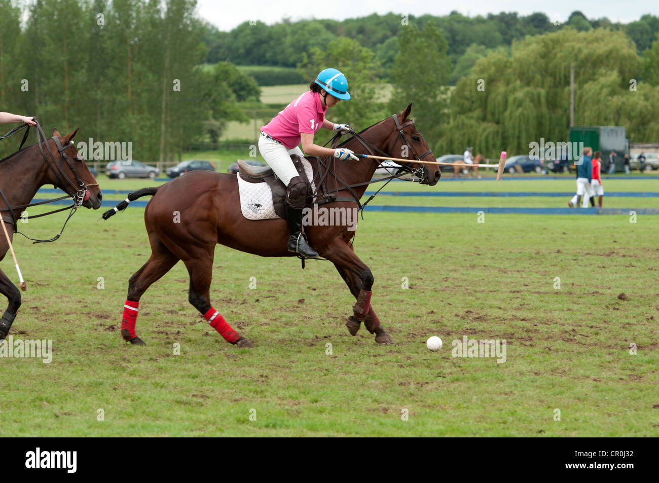 Female polo player horse hi-res stock photography and images - Alamy