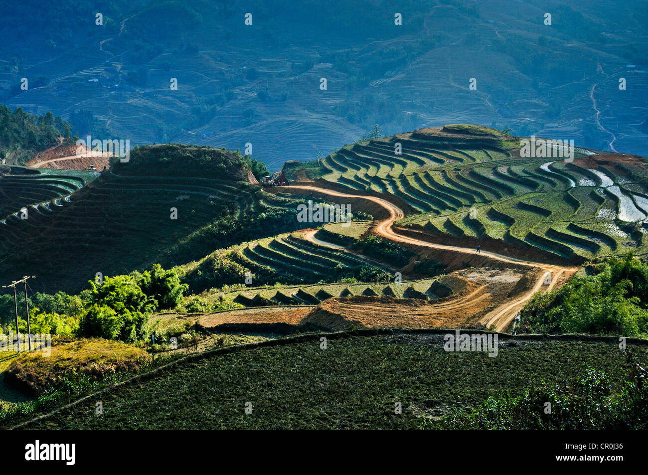 Rice fields, road leading through rice terraces, Sapa, Sa Pa, Vietnam ...