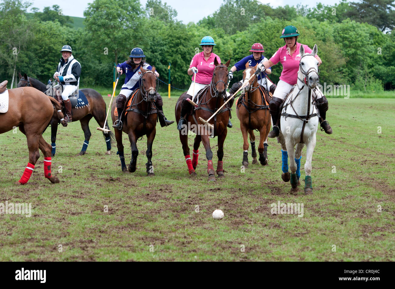 Polo game and horse hi-res stock photography and images - Alamy