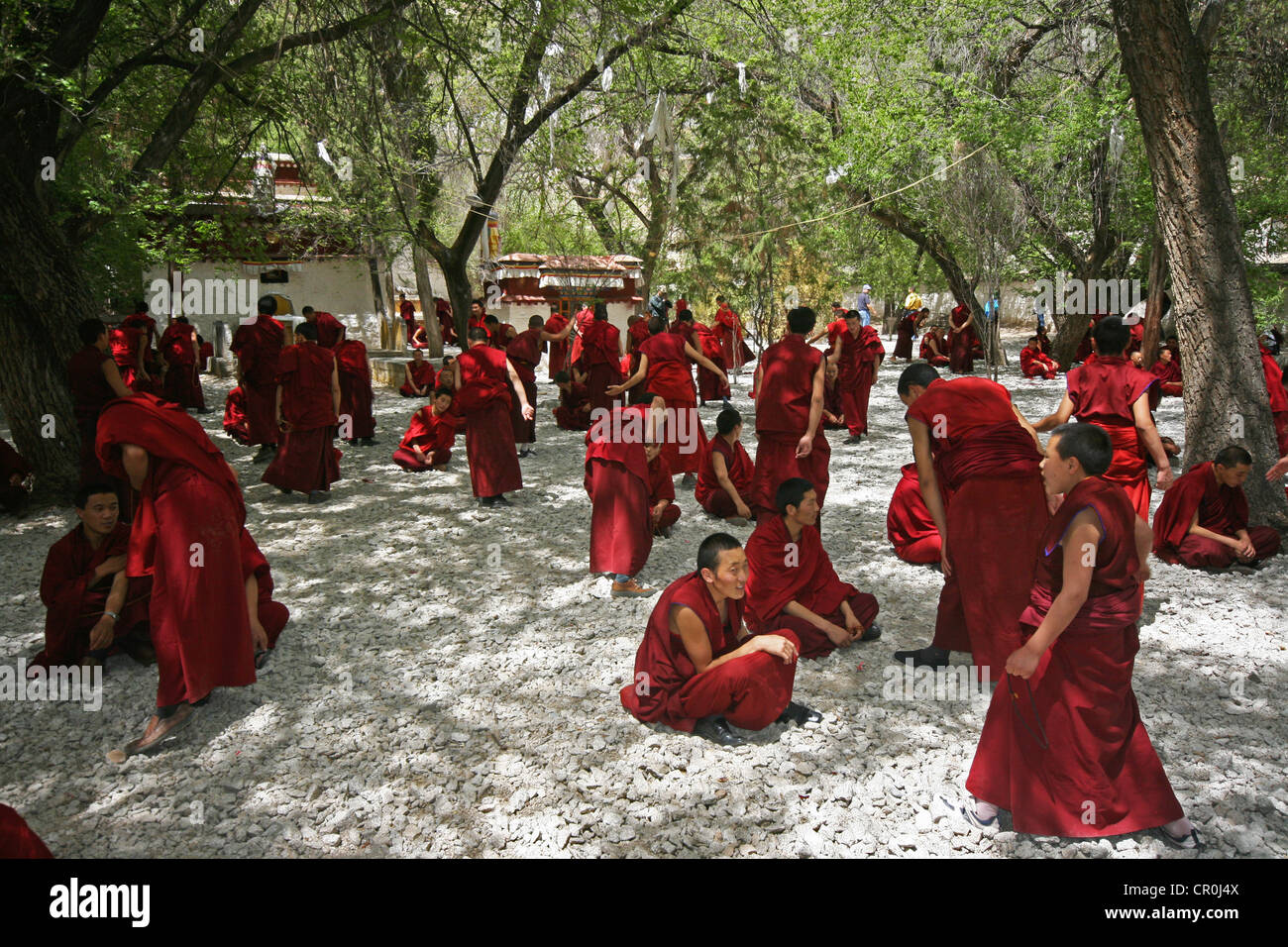 Young Buddhist monks debating at Drepung Monastery, Lhasa, Tibet, China ...