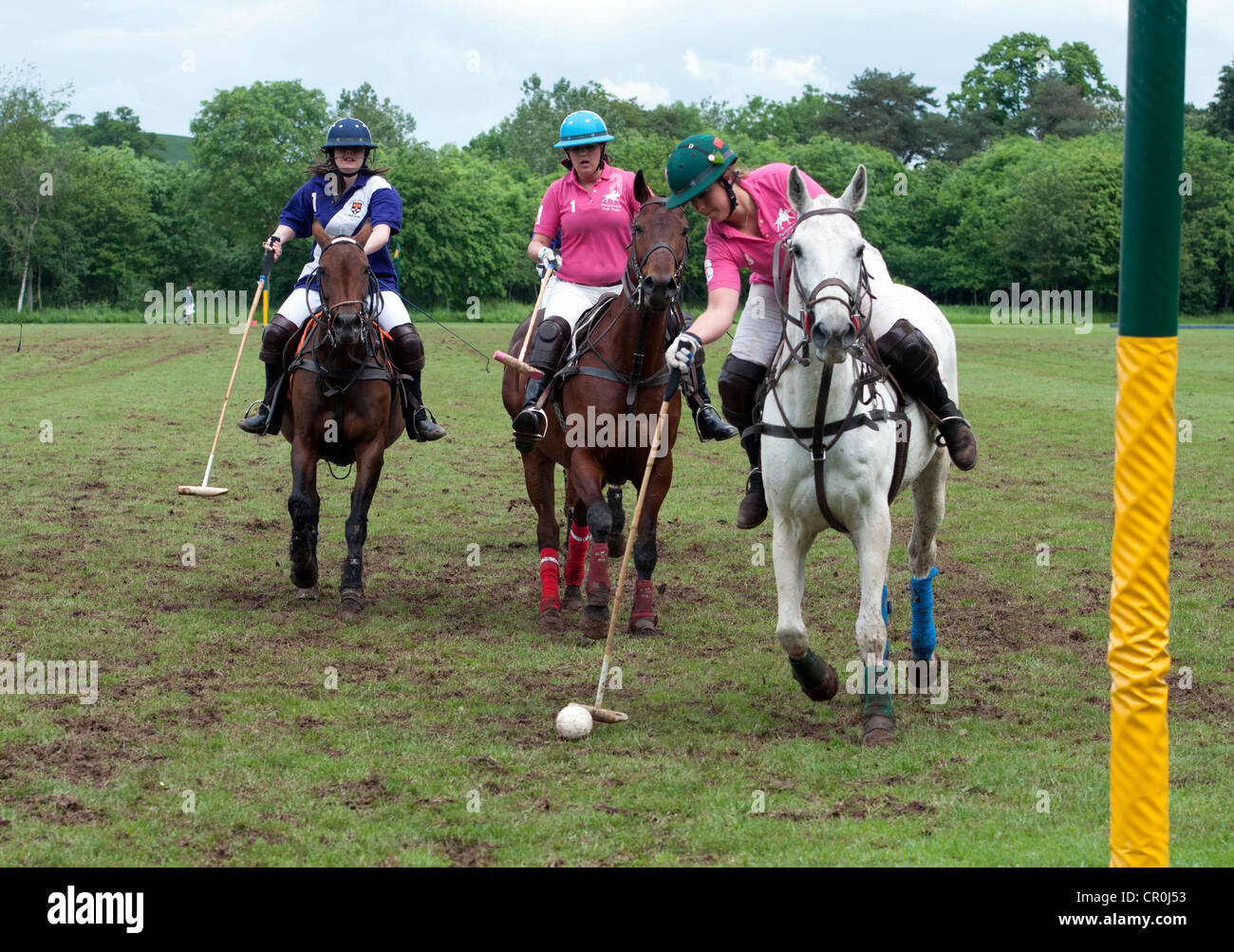Polo game hi-res stock photography and images - Alamy