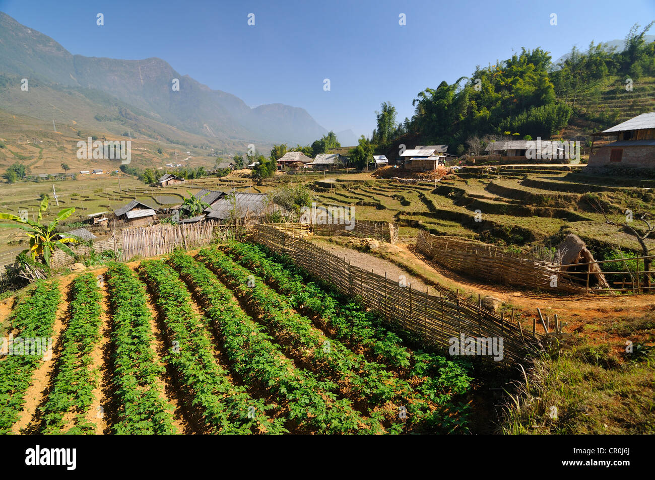 Mountain landscape with farm, vegetable field, rice farmers, rice ...