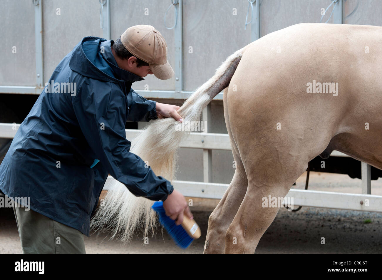 Man pony tail hi-res stock photography and images - Alamy