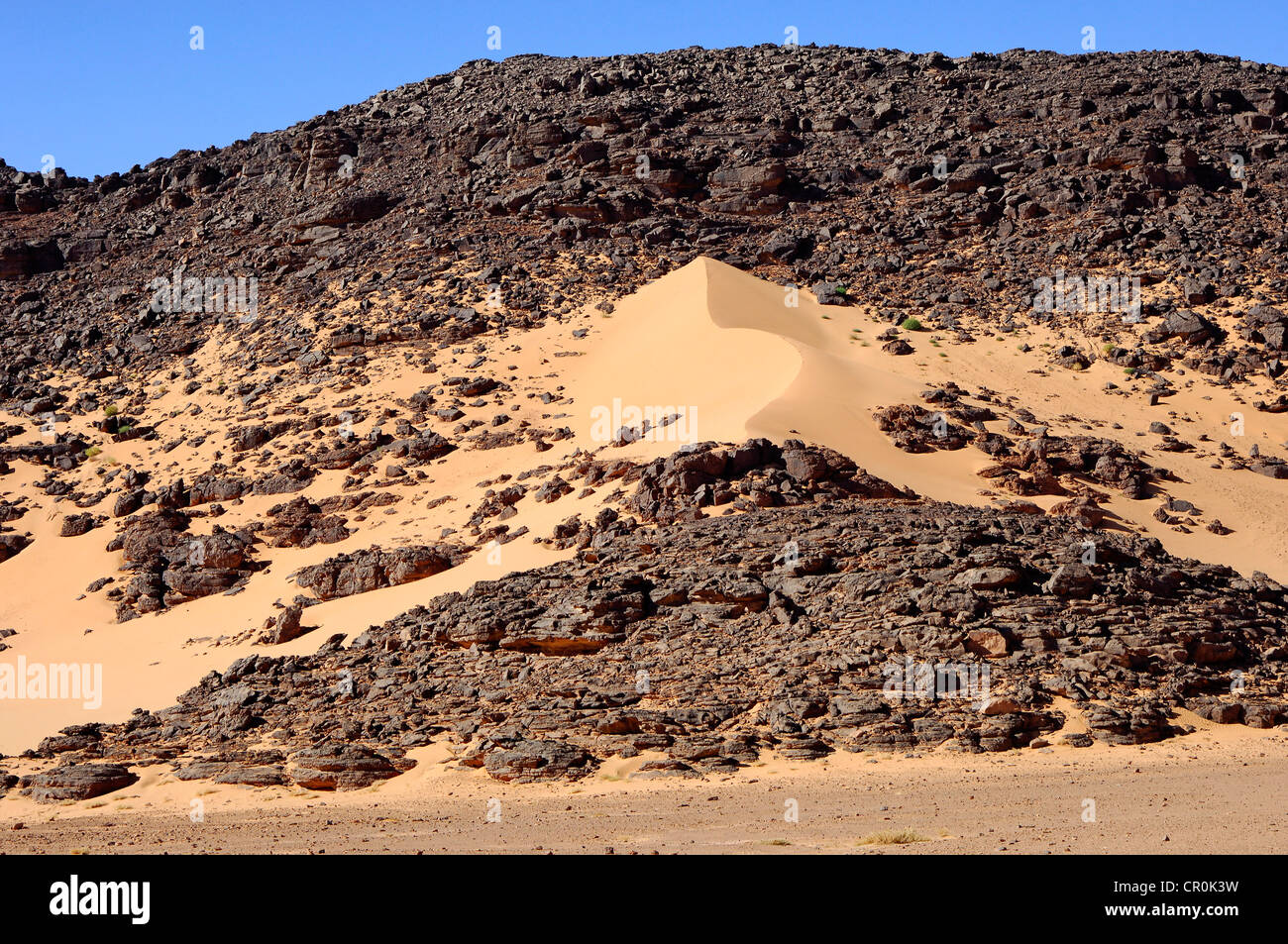 Hamada landscape hi-res stock photography and images - Alamy