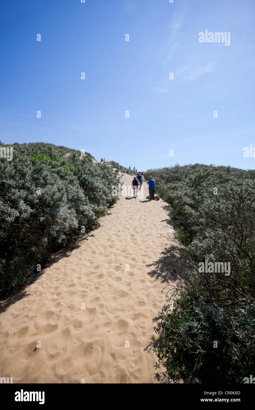 Camber Sands Beach, East Sussex, England, UK Stock Photo - Alamy