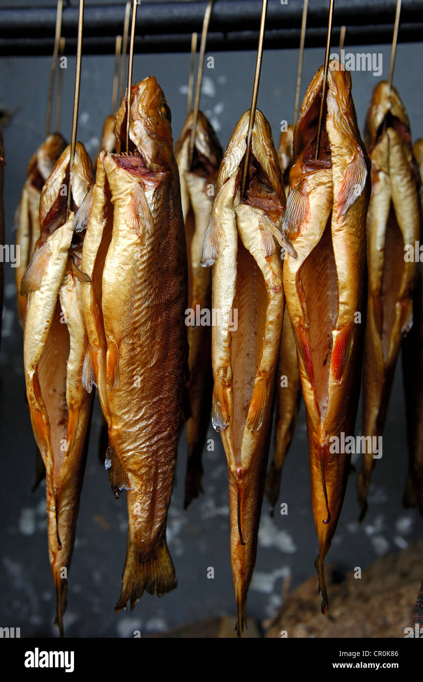 Fish Smoking Hanging High Resolution Stock Photography and Images - Alamy