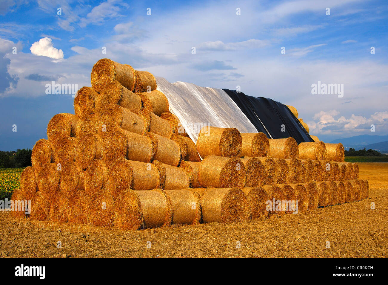 Stack of round straw bales Stock Photo - Alamy