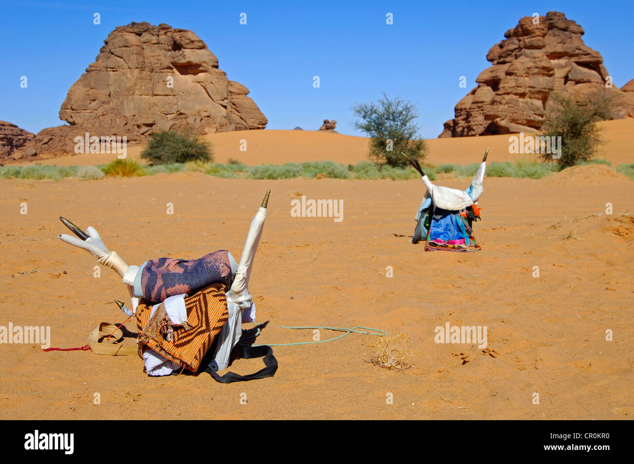 Libya tuareg camel africa desert hi-res stock photography and images ...