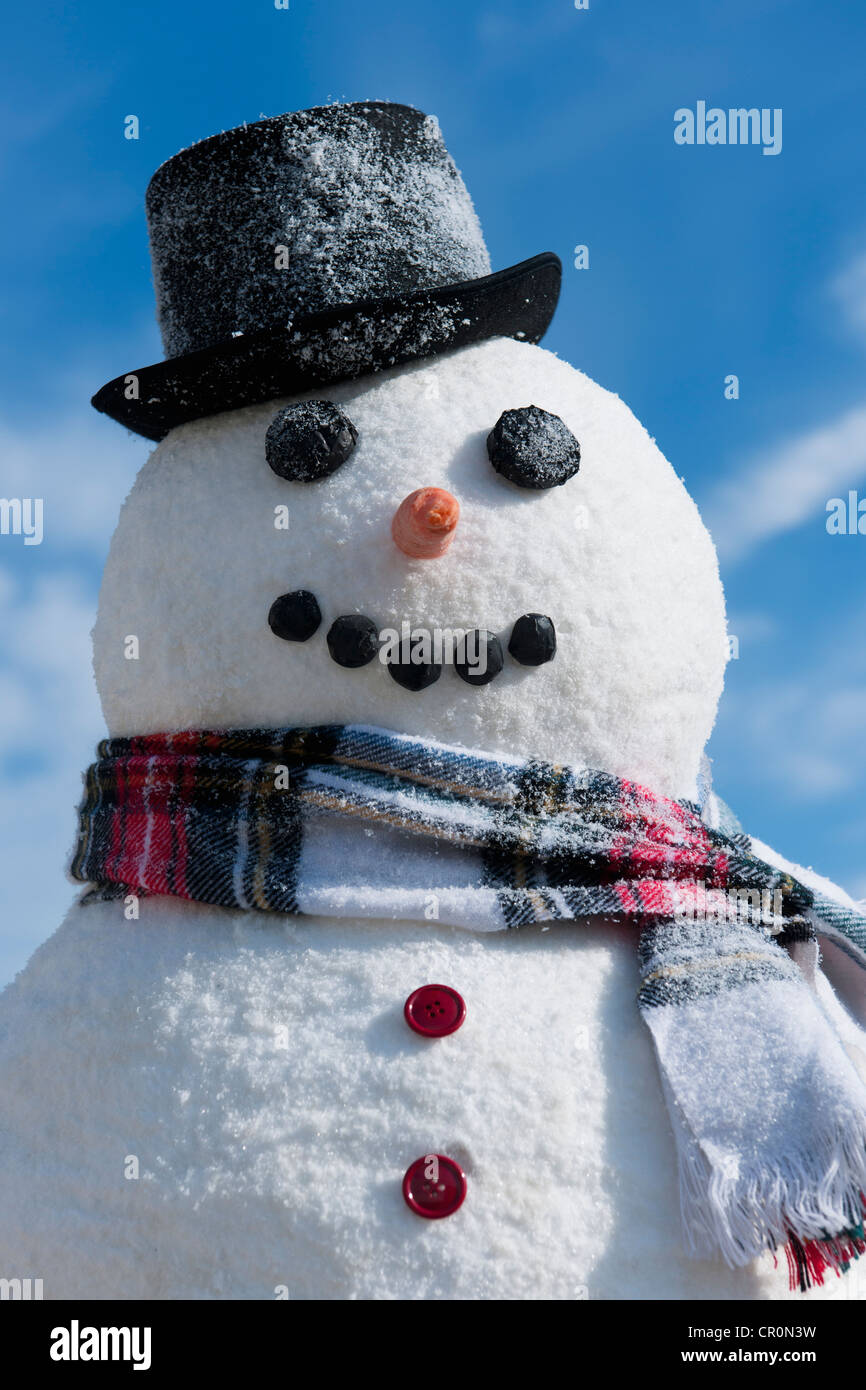 USA, New Jersey, Jersey City, Snowman under blue sky Stock Photo - Alamy