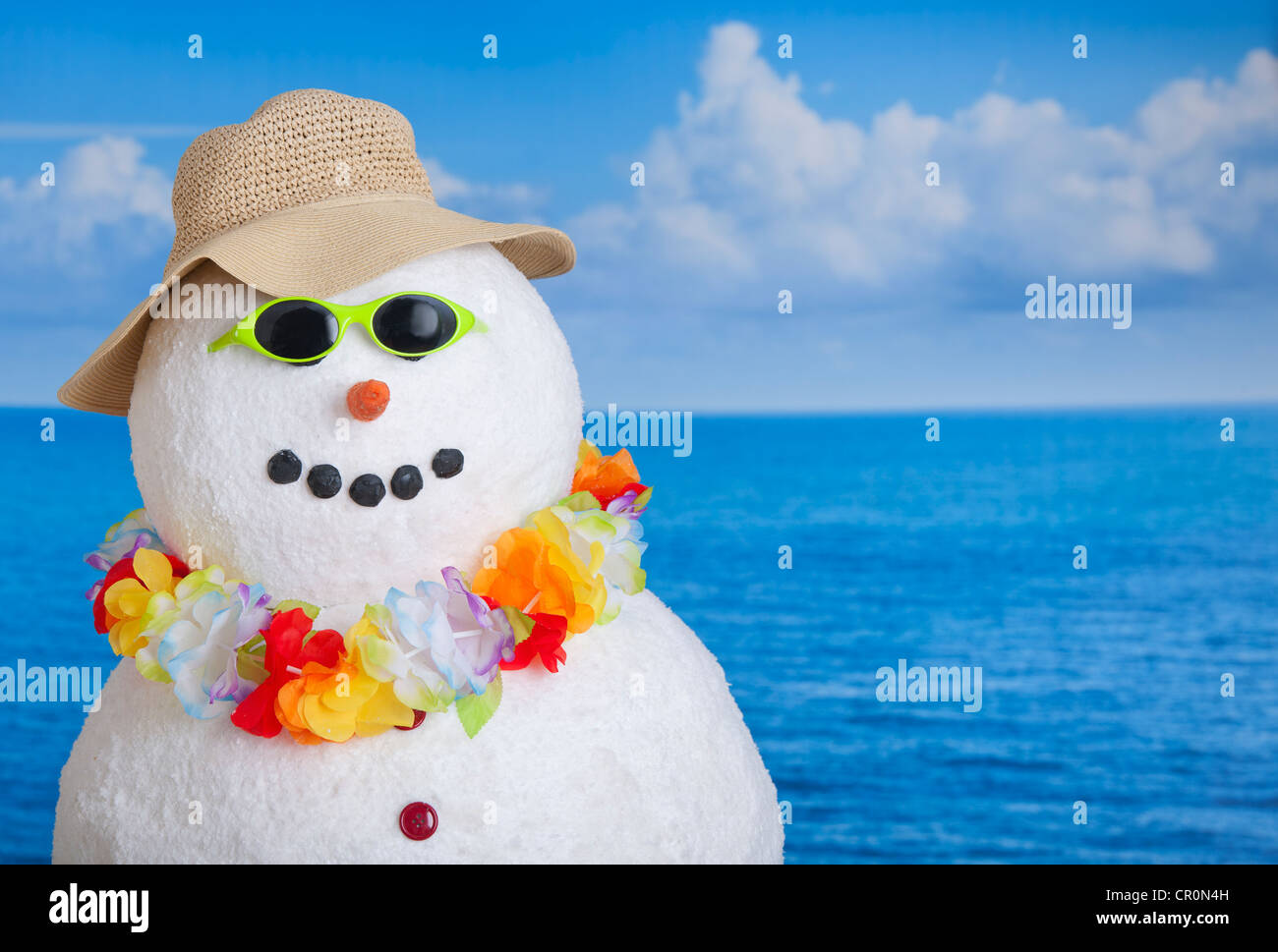 Snowman Does In Summer