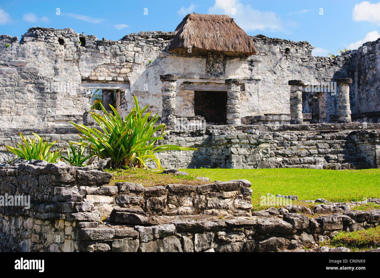 Mexico, Yucatan, Tulum, Ancient Mayan ruins Stock Photo - Alamy