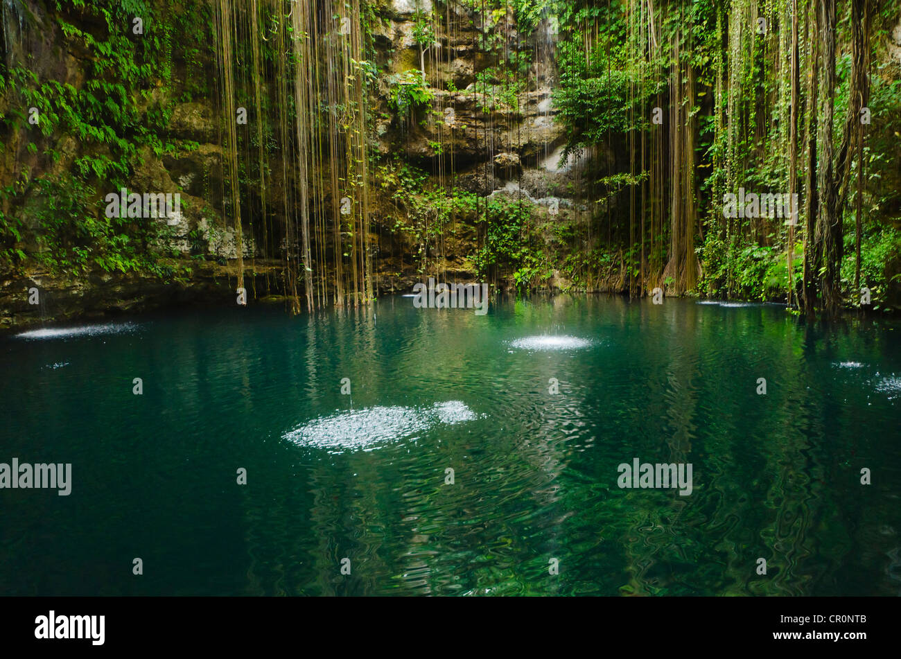 Yucatan cenote hi-res stock photography and images - Alamy