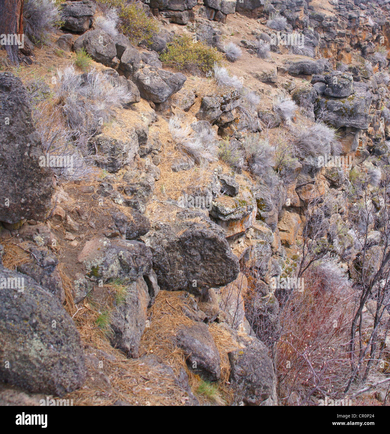 Basalt boulders hi-res stock photography and images - Alamy