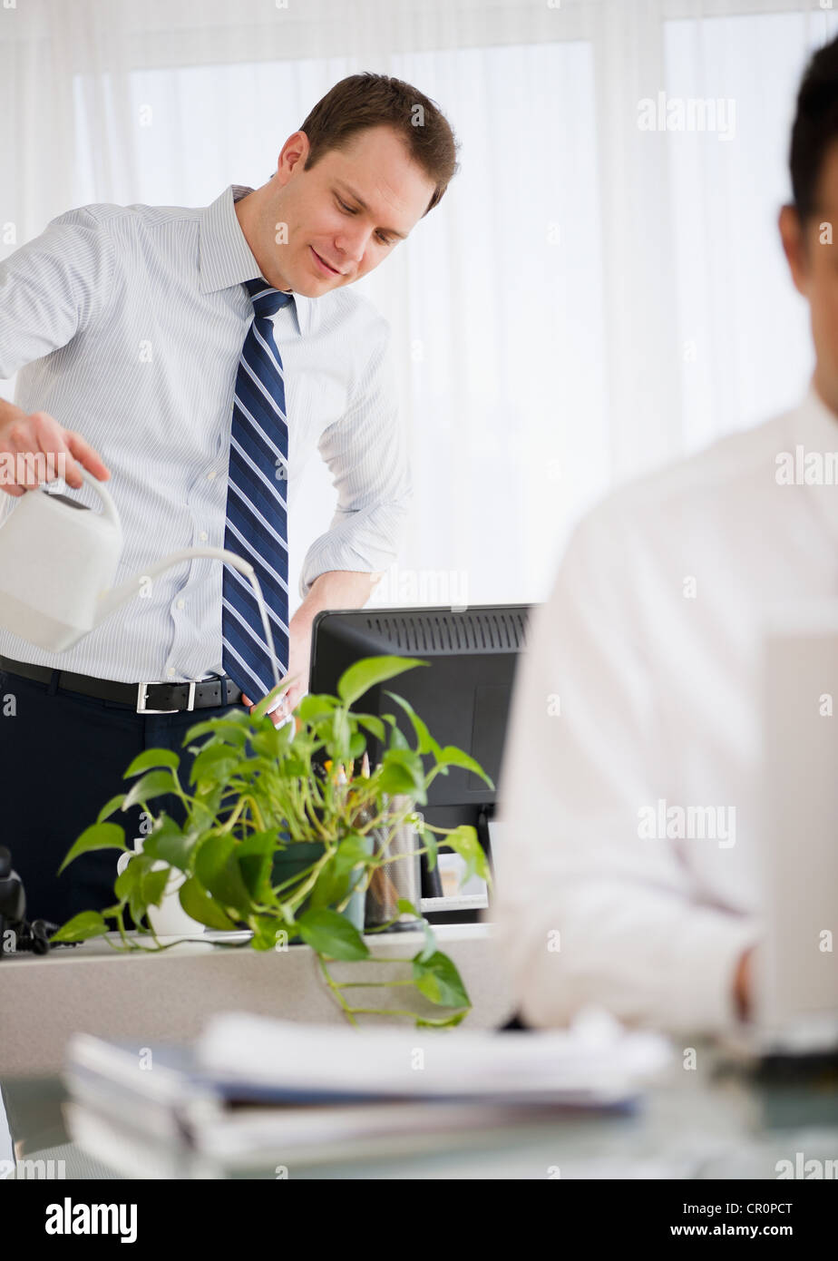 Caucasian businessman watering plant in office Stock Photo - Alamy