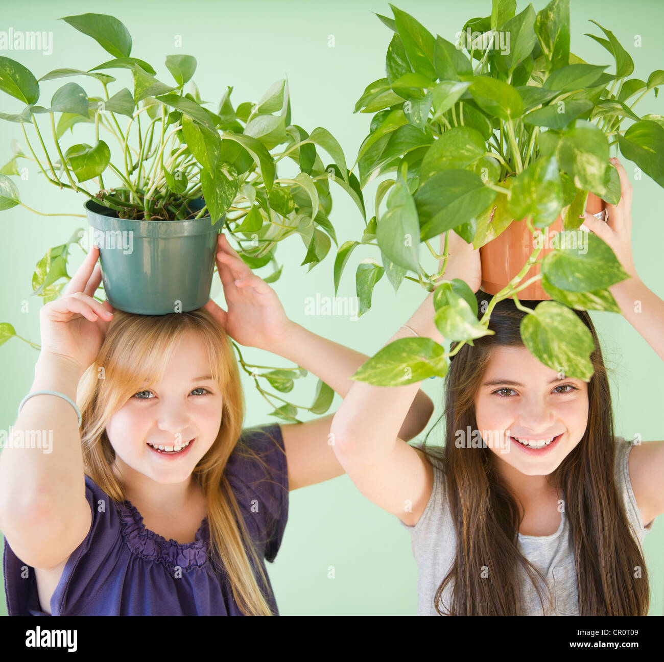 Square potted plant hi-res stock photography and images - Alamy