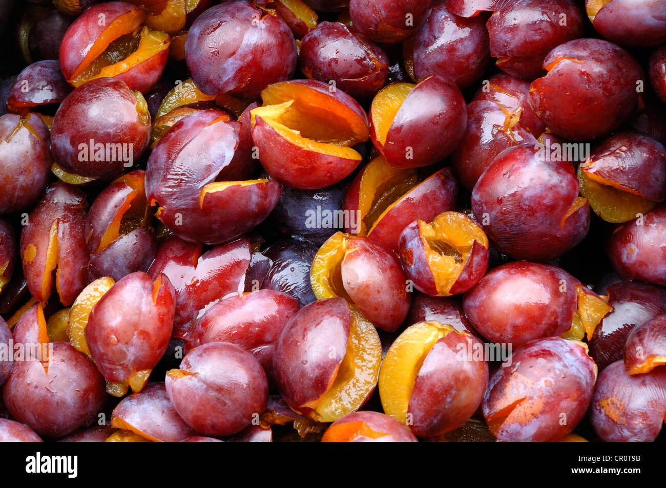 Pitted Prunes (Prunus domestica), prepared to make jam Stock Photo - Alamy