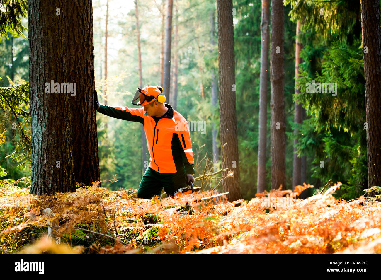 Woodcutter logger hi-res stock photography and images - Alamy