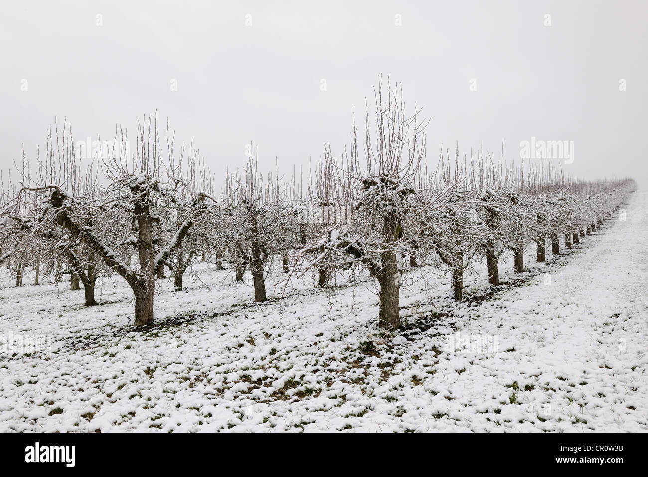 Baden baden germany winter hi-res stock photography and images - Alamy