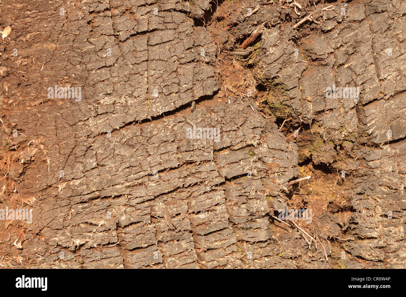 Dry peat-cutting site in Raubling, Bavaria, Germany, Europe Stock Photo ...