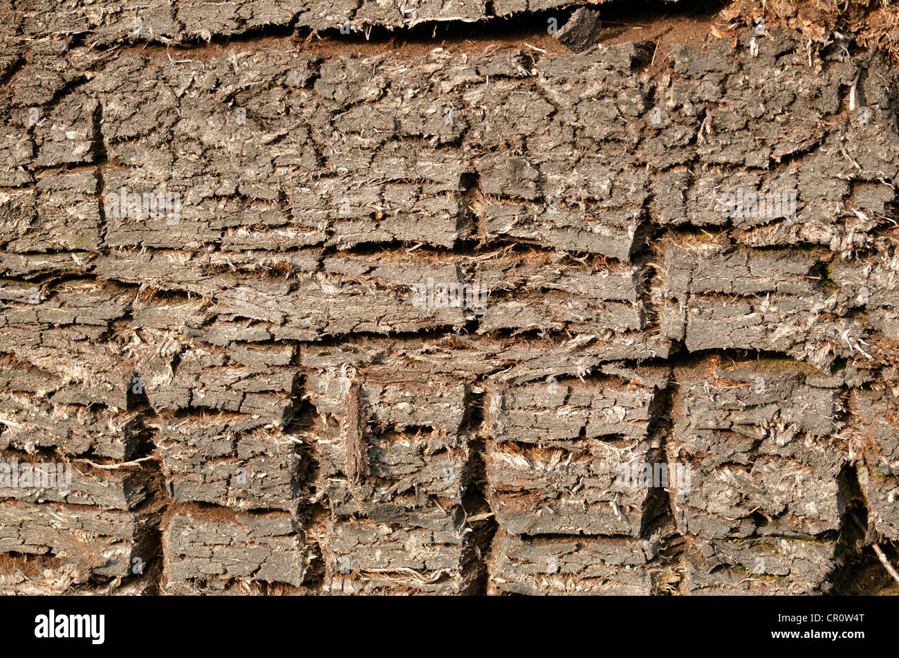 Dry peat-cutting site in Raubling, Bavaria, Germany, Europe Stock Photo ...