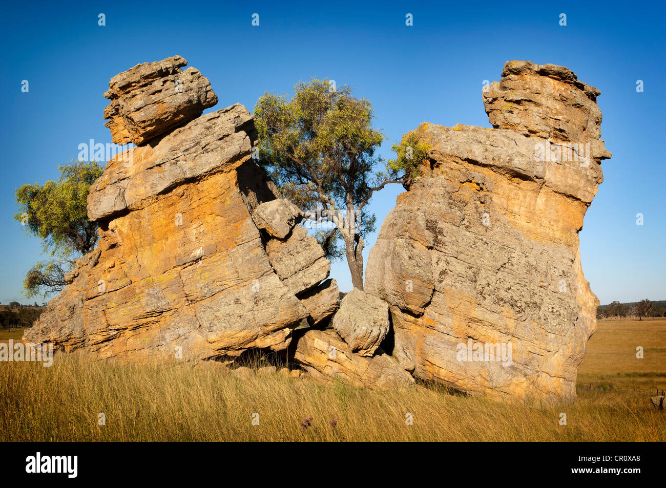 Rocks and tree hi-res stock photography and images - Alamy