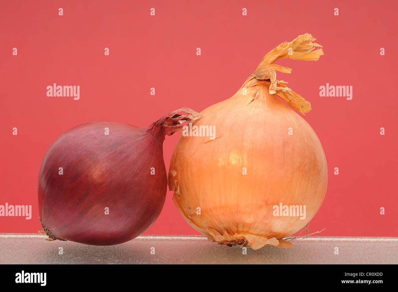 Common onion and red onion Stock Photo - Alamy
