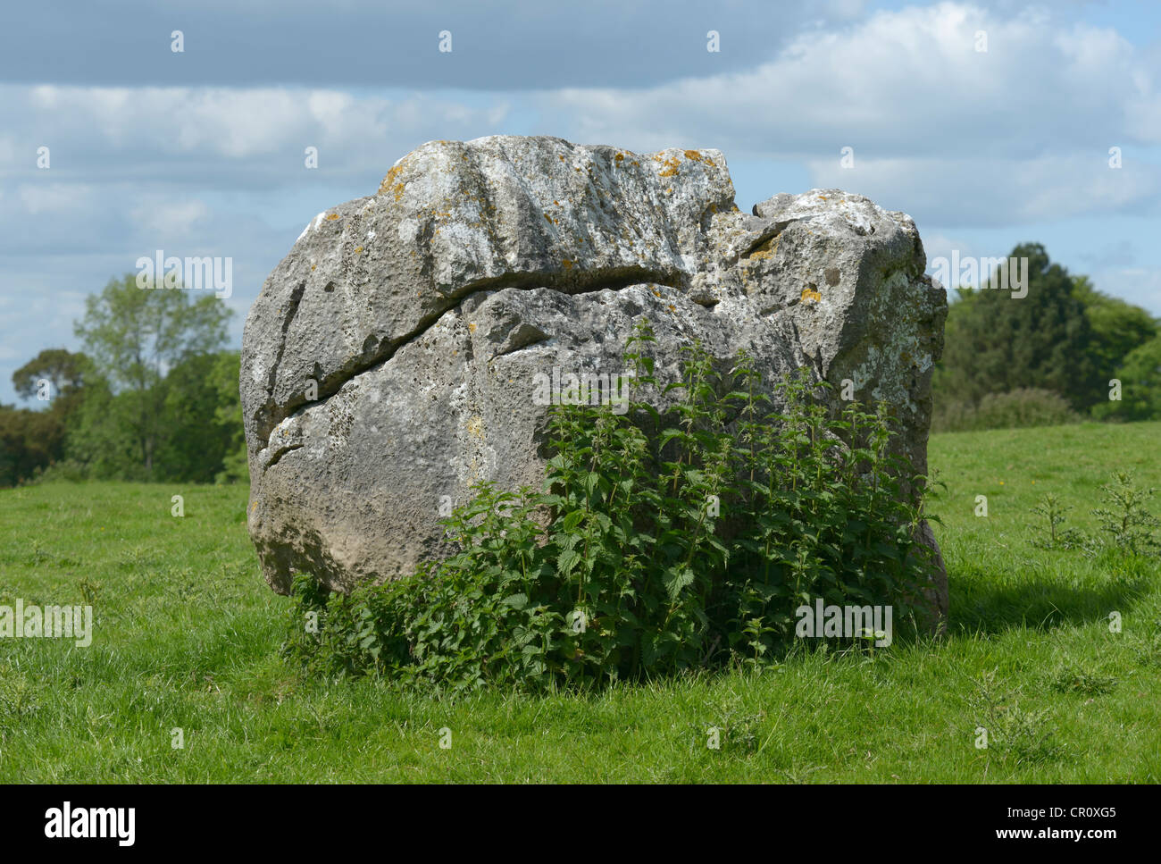 Split limestone boulder with nettles. Leighton Hall, Yealand Conyers ...