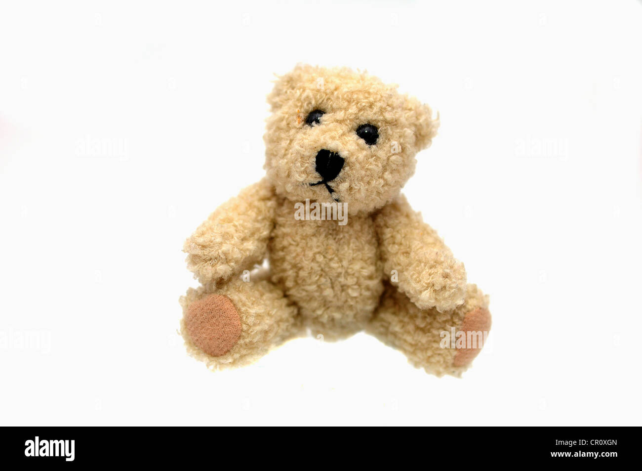 Cut Outs Teddy Bear High Resolution Stock Photography and Images - Alamy