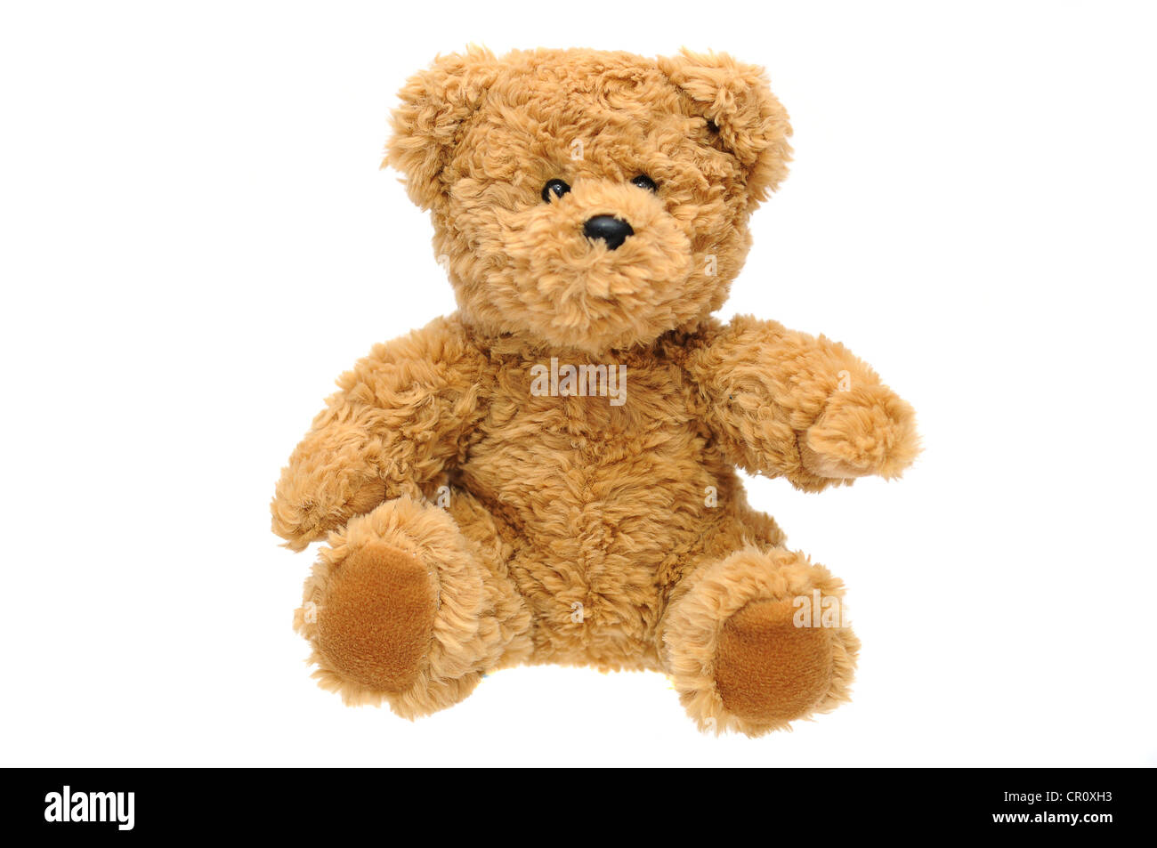 Cut Outs Teddy Bear High Resolution Stock Photography and Images - Alamy